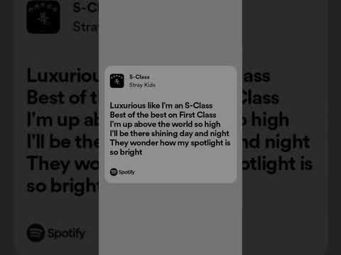 Stray Kids-S-class(Lyrics)