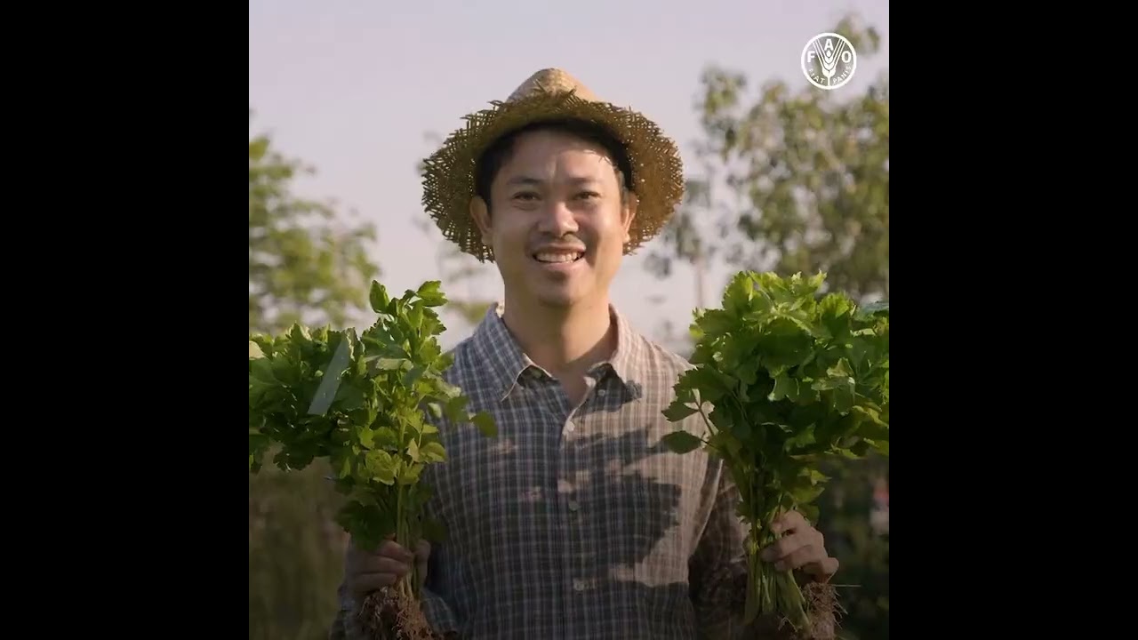 How can we achieve sustainable plant production systems to feed the world?