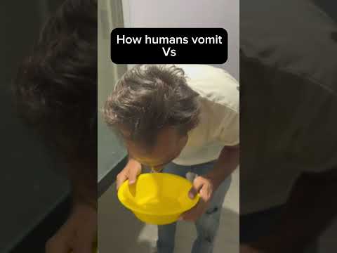 Human Vs Cats
