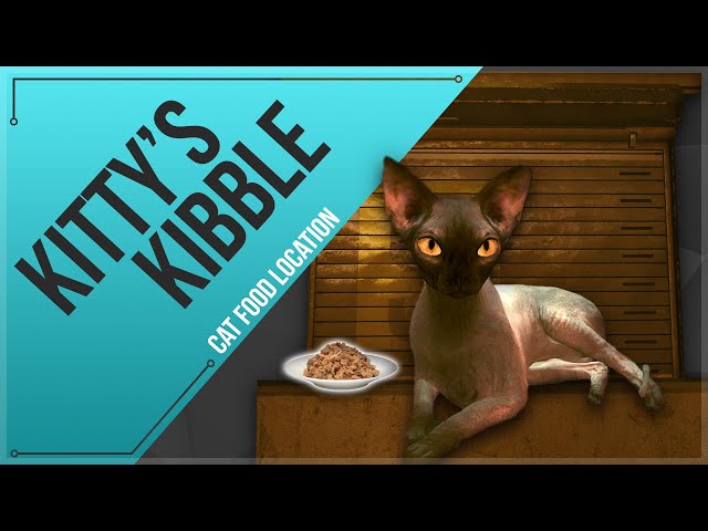 Cyberpunk 2077 patch 1.6 guide: How to pet a cat (Nibbles) in the game?