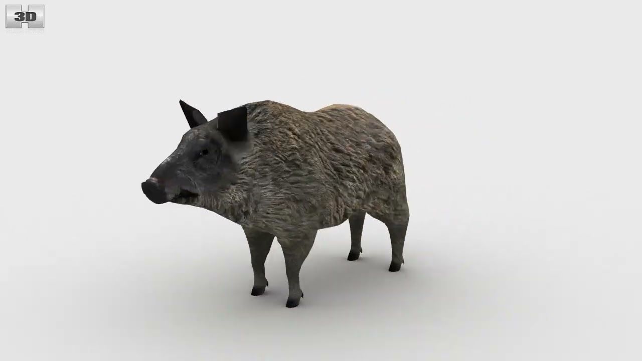 Boar Low Poly 3D model by 3DModels.org