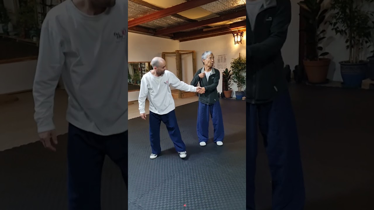 弹劲转肘 Roll & break elbow