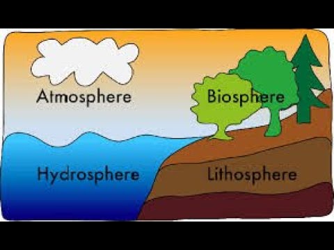 The Earth Biosphere| Importance of Biosphere| Why is the biosphere important for living organisms?