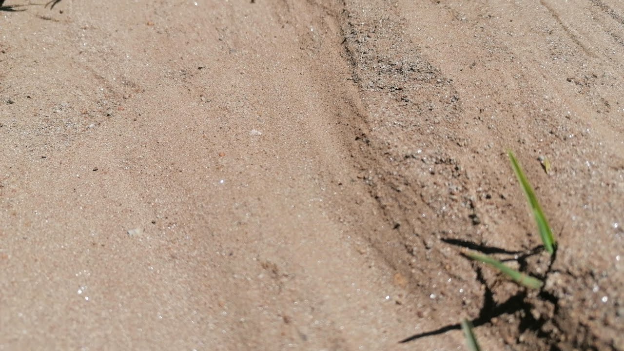 Climate change effects on Agriculture