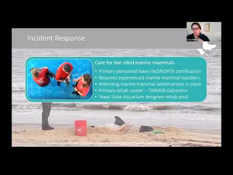 Sarah Piwetz, Importance of stranding programs and photo-ID for developing baseline data