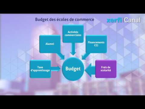 Écoles de commerce : le coût de scolarité vaut-il encore le coup ? [Philippe Gattet]