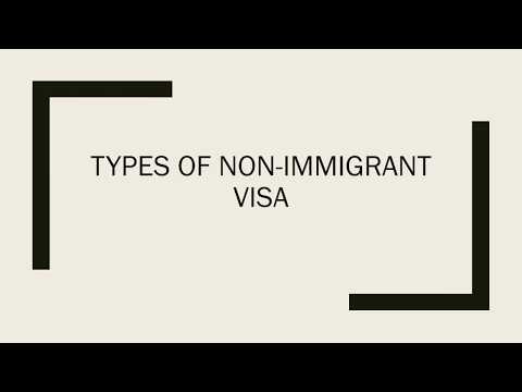 NON-IMMIGRANT VISA TYPES