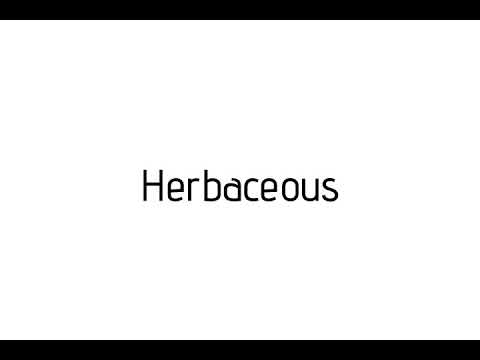 How to pronounce Herbaceous / Herbaceous pronunciation