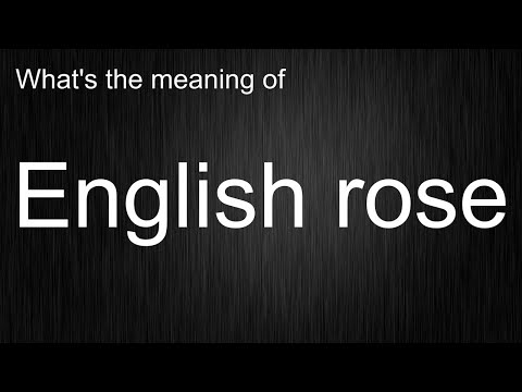 What's the meaning of "English rose", How to pronounce English rose?