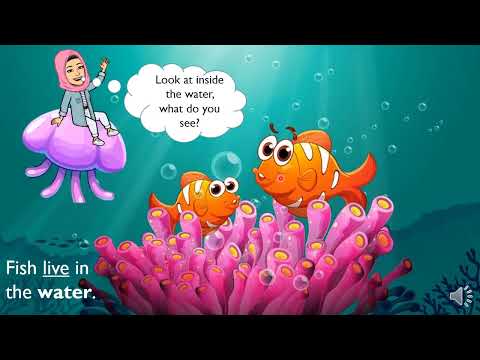 G2 Similarities and differences between animals habitat