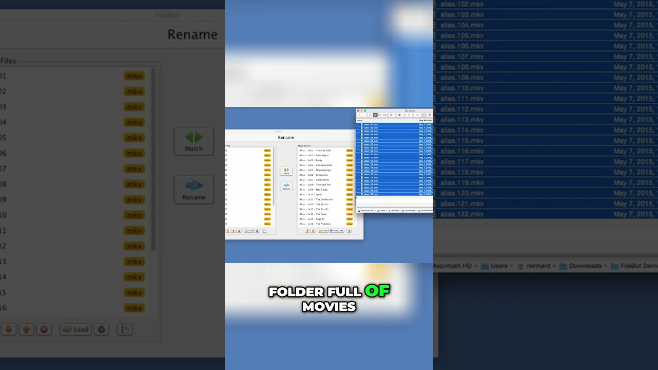 Organize Your Media Files Easily with Filebot