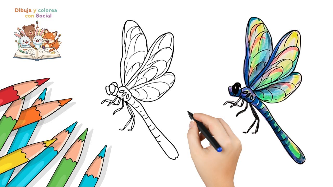 Cómo Dibujar una Libélula y Colorear | Dibujo de Insectos Fácil Paso a Paso