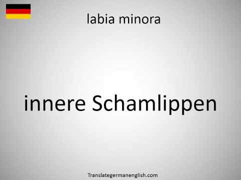 How to say labia minora in German? innere Schamlippen