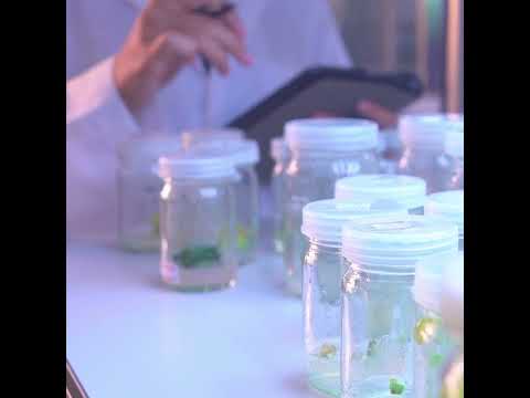 new product arrival Starter kit for plant tissue culture