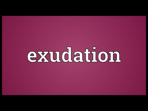 Exudation Meaning