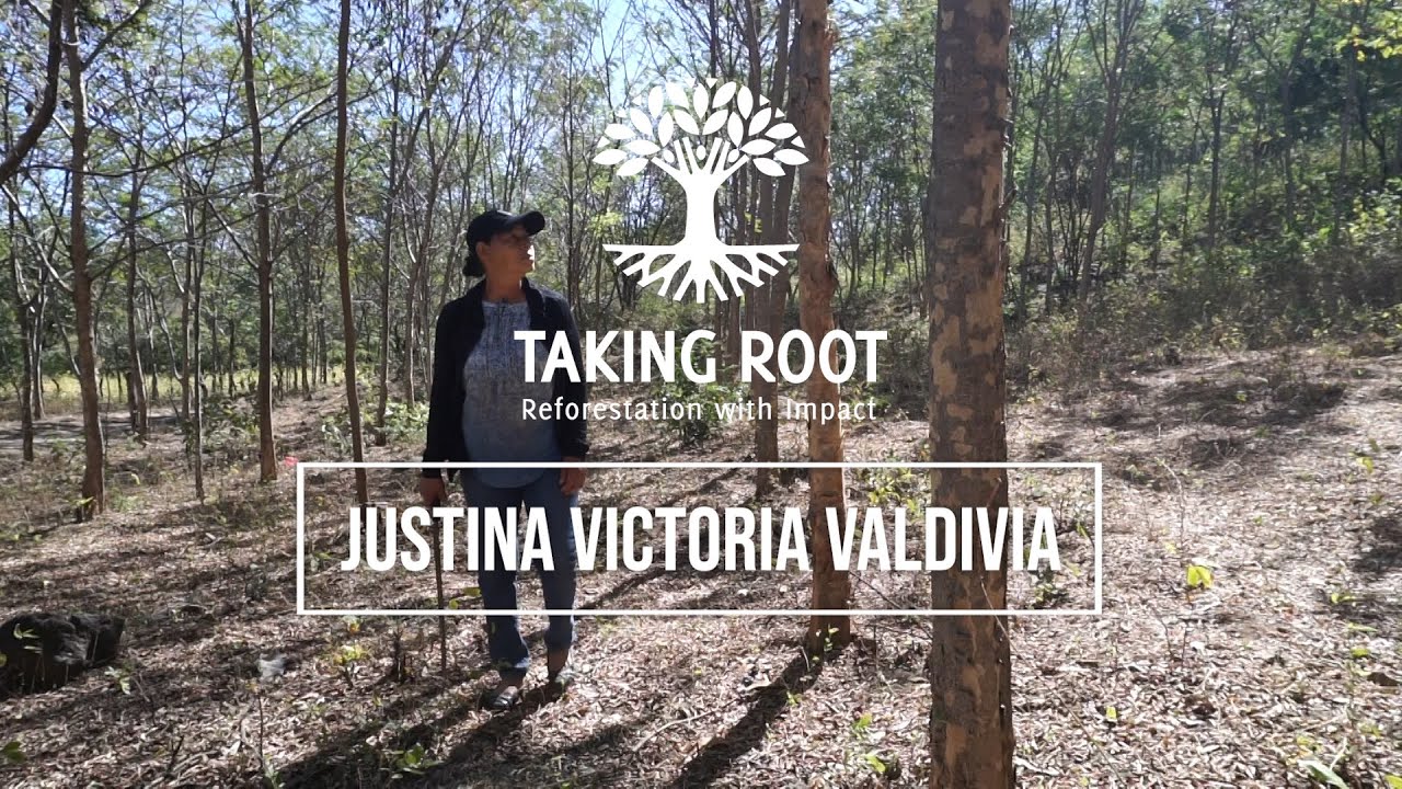 A farmer's perspective on reforestation