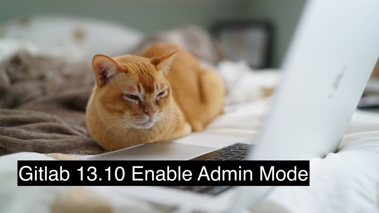 GitLab 13.10: Admin Mode: Re-authenticate for GitLab administration