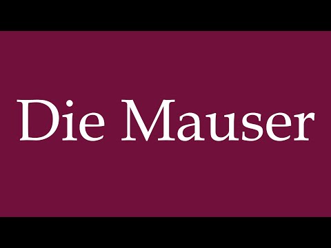 How to Pronounce ''Die Mauser'' (The Moult) Correctly in German