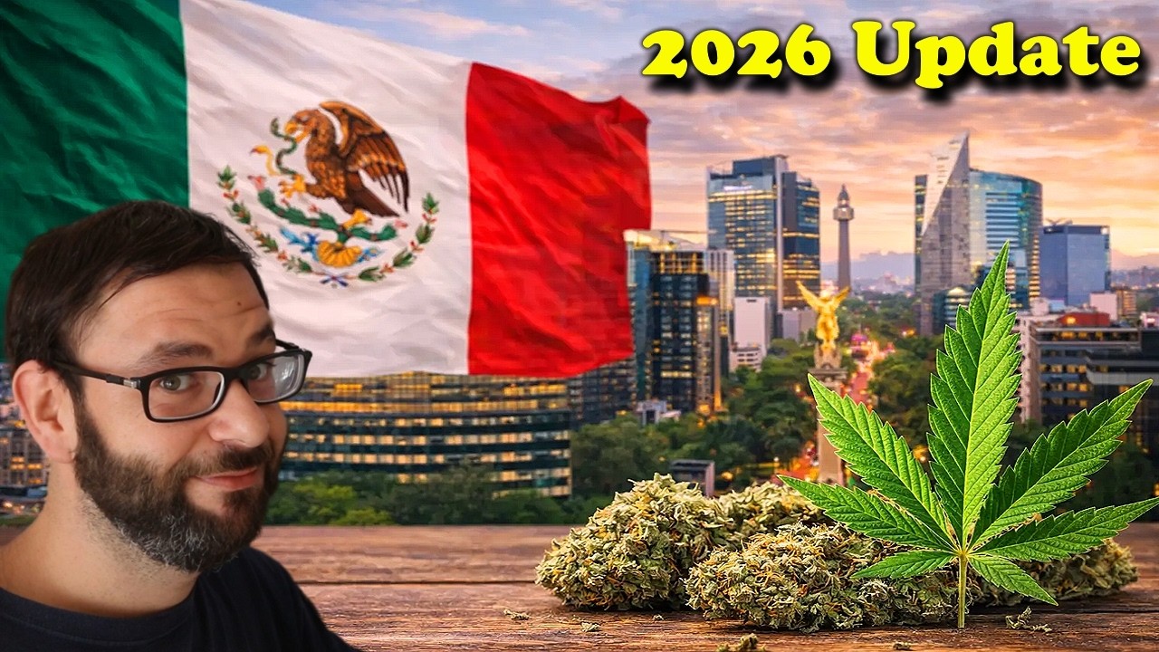 Weed is Still NOT Legal in Mexico | 2026 Update | What You Need To Know About Cannabis in Mexico