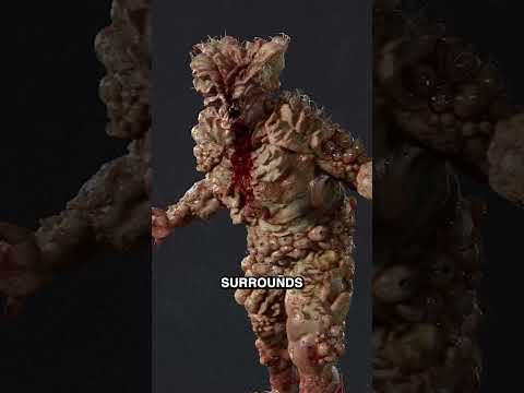 How to kill a Bloater in The Last of Us