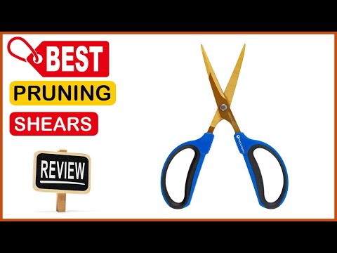 ✅ Best Pruning Shears Amazon In 2023 ✨ Top 5 Tested & Reviewed