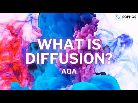 AQA only: What Is Diffusion?