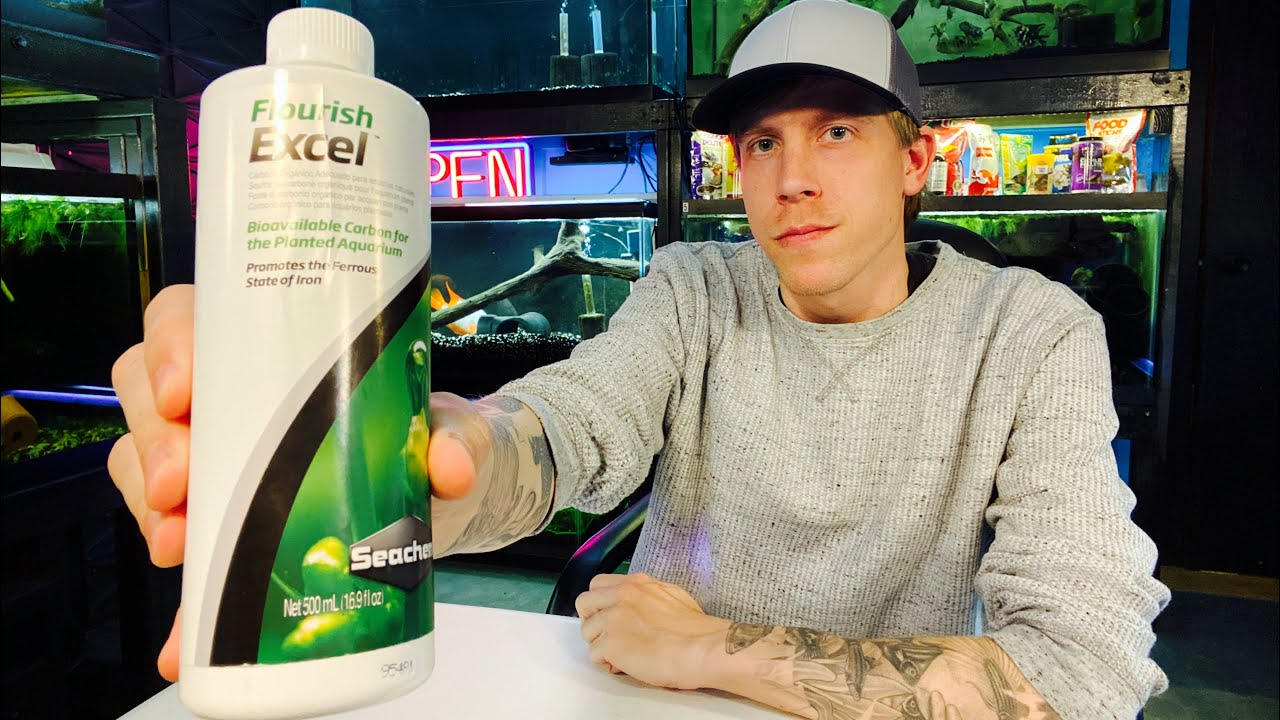 Seachem Flourish Excel Review (Algae Control?)