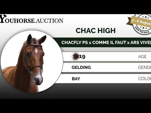 Youhorse.auction | Chac High
