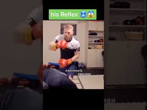 Amazing Boxers Reflex at Dragon Tearz Energy