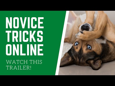 Novice Tricks Online!