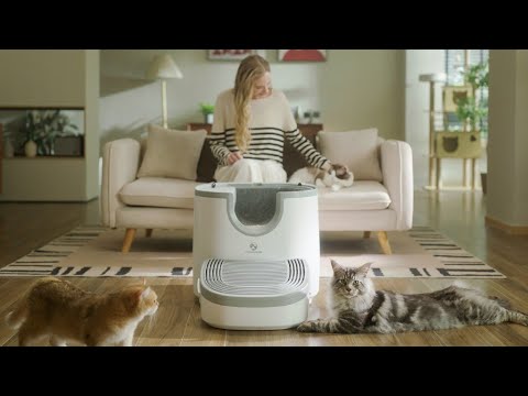 Now on Kickstarter: Furoomate: Open-Top Self-Cleaning Litter Box For Any Size Cat