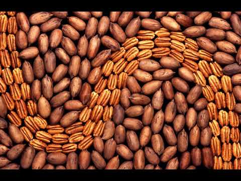 List of Alabama state symbols | Wikipedia audio article