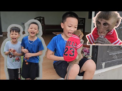 Fans came to the house and gave gifts to baby monkey Nahu