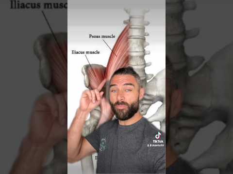 Unlock Your Psoas & End Pain! #shorts #selfcare #musclerelief