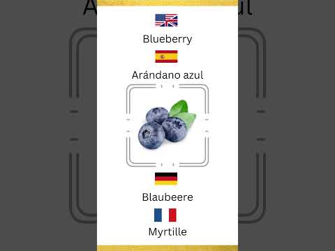 #blueberry #arándanoazul #blaubeere #myrtille #fruit #learnenglish #learnspanish #newdaylanguage