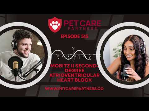EP 515: Mobitz II Second-Degree AV Block – Recognition & Management in Veterinary Patients