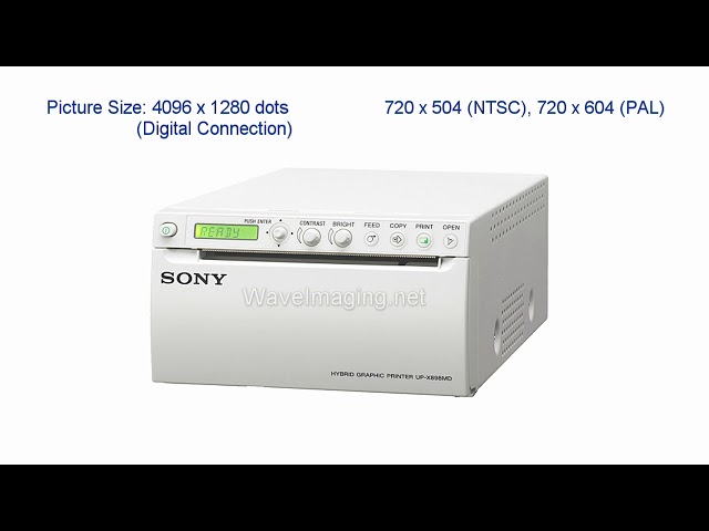 Ultrasound Thermal Paper - Sony Ultrasound Printer Wholesaler from Chennai