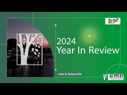 2024 Year In Review