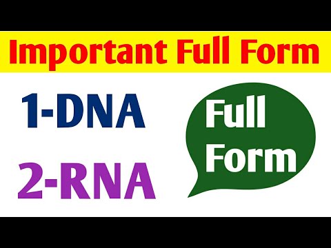 DNA ka full form ।। RNA ka full form ।। DNA and RNA ka full form ...