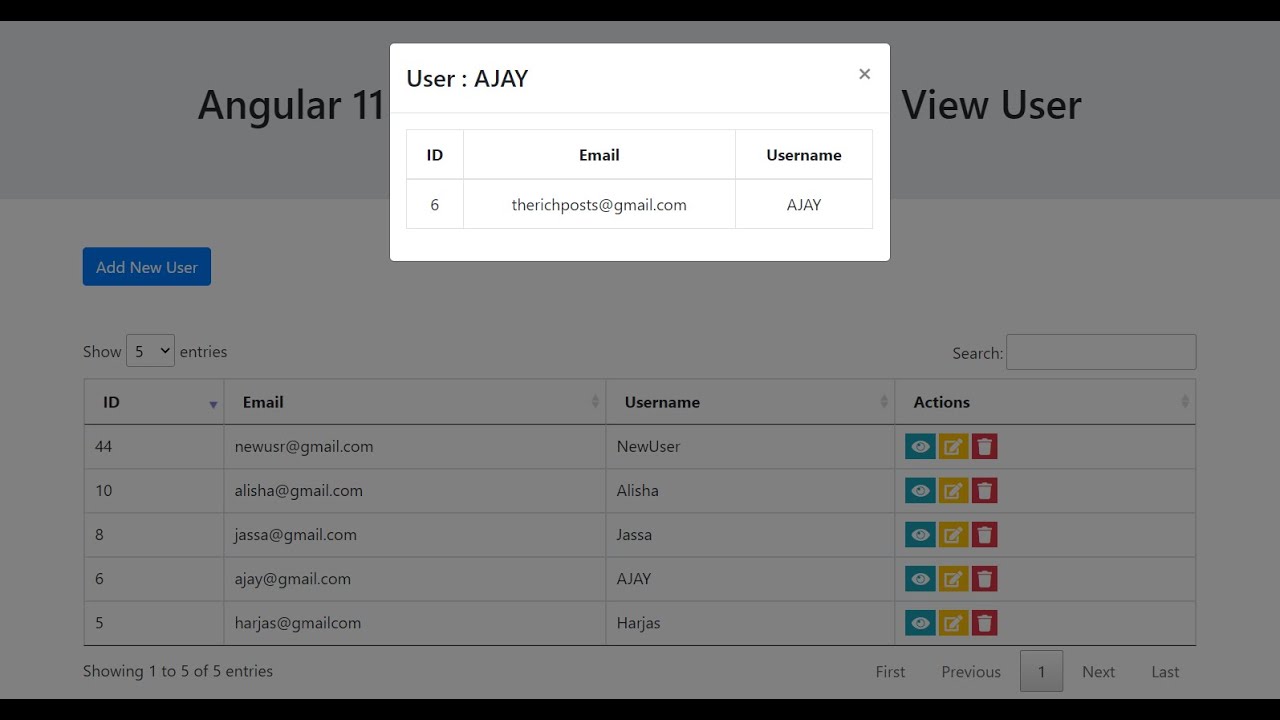 Angular 11 Crud Tutorial with Service - View User