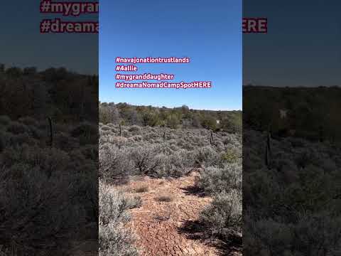I’m planning a #nomadcampground. Do you like the view? The quiet, the immersive pull of Nature…to U?
