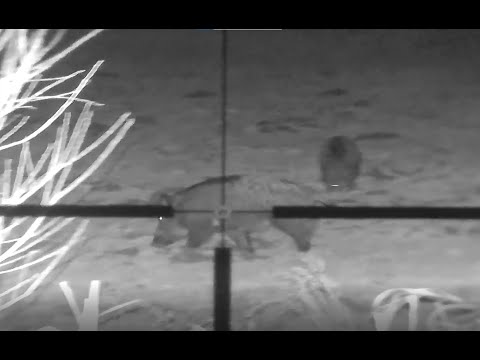 Clip on Night Vision | Commander NV100 16MM