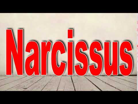How to Pronounce Narcissus