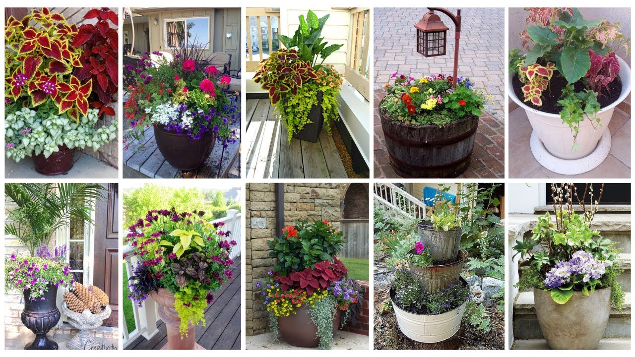 127 + Container Garden Design Ideas For Backyard, Porch, Lawn & Balcony You Can DIY. @decorabout