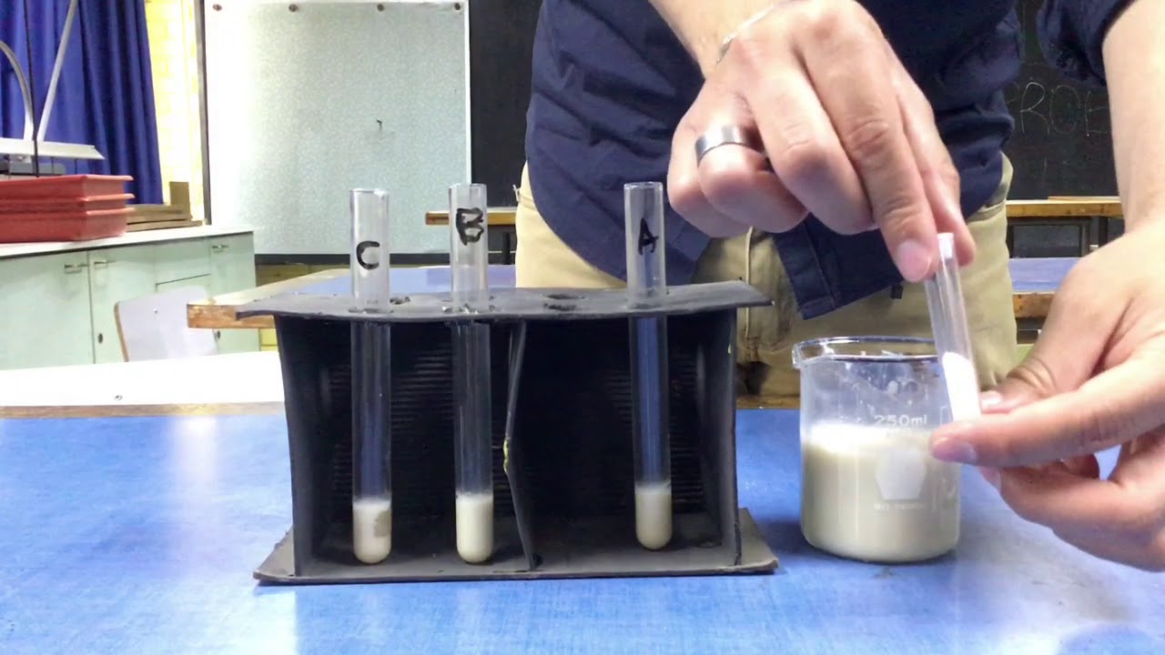 Fermentación De Levadura
