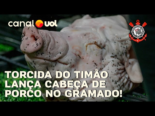 Cabeça de porco é arremessada em campo durante Corinthians x Palmeiras