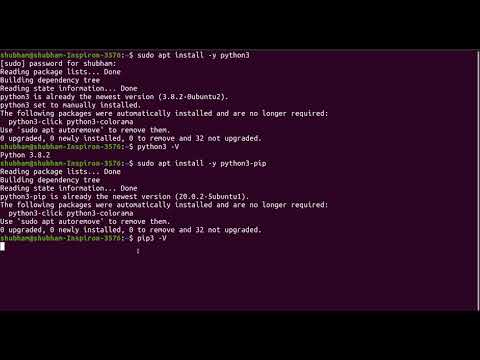 How to install python 3.8 and pip3 on Ubuntu