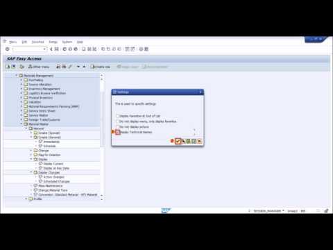 SAP How to display Tcodes in SAP menu