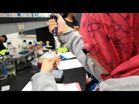Undergraduates Find More Research Opportunities at Rutgers