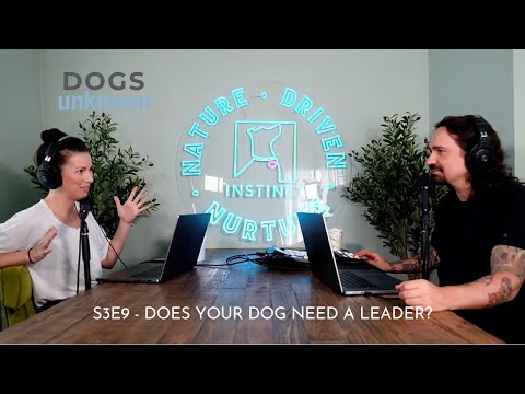 Dogs Unknown S3E9 - Does Your Dog Need Leadership?